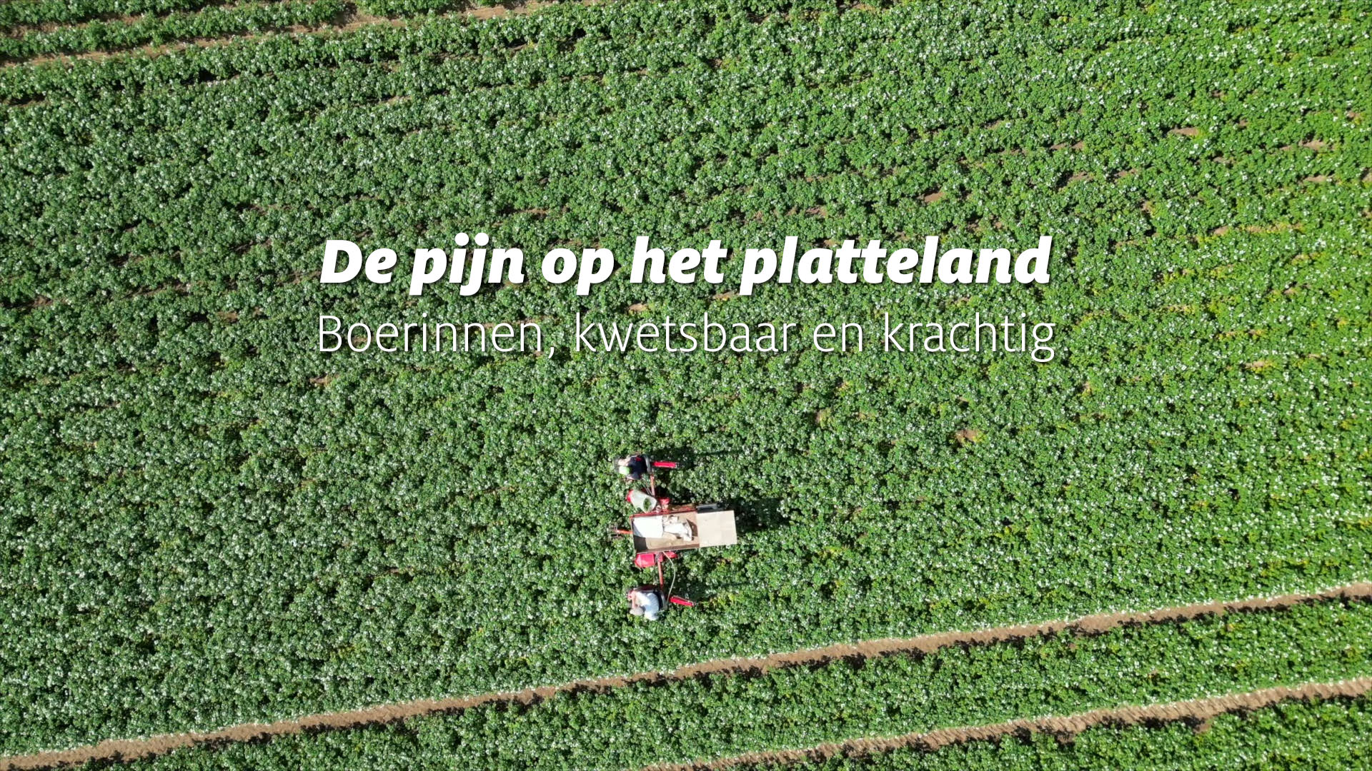 De pijn op het platteland - ZLTO