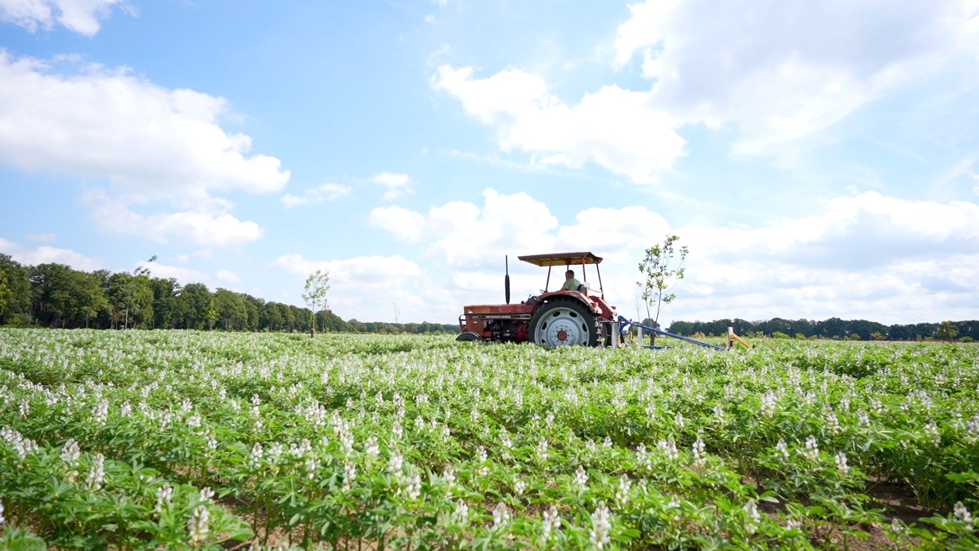 Climate Farm Demo - ZLTO