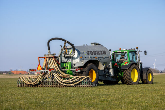 Ledenpeiling: deel (anoniem) je ervaringen met knolcyperus - ZLTO